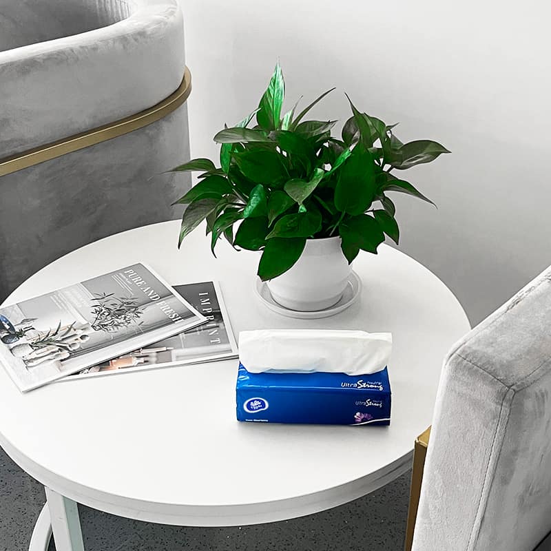 Soft Pack Facial Tissue